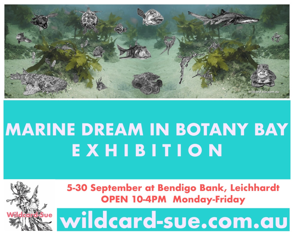 EXHIBITION: MARINE DREAM IN BOTANY BAY - SEPTEMBER 2022 – Wildcard-Sue
