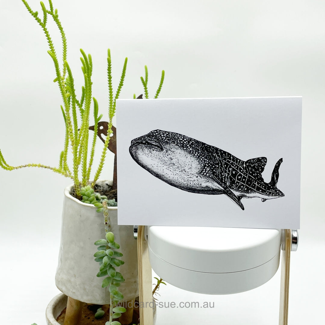 Whale Shark card - Graham the Whale Shark – Wildcard-Sue