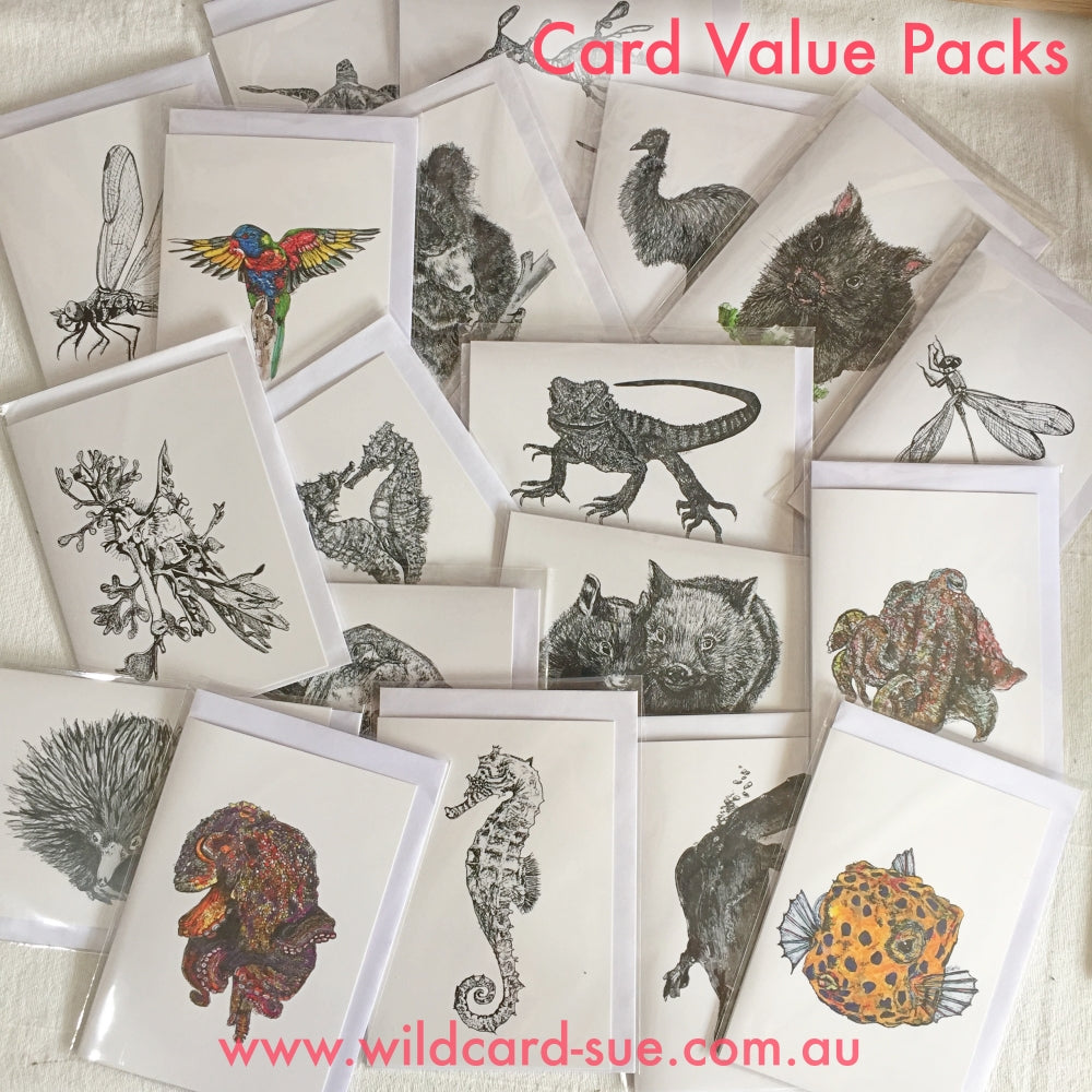 New Value Packs on Artist Cards in 5,10 and 20 packs – Wildcard-Sue