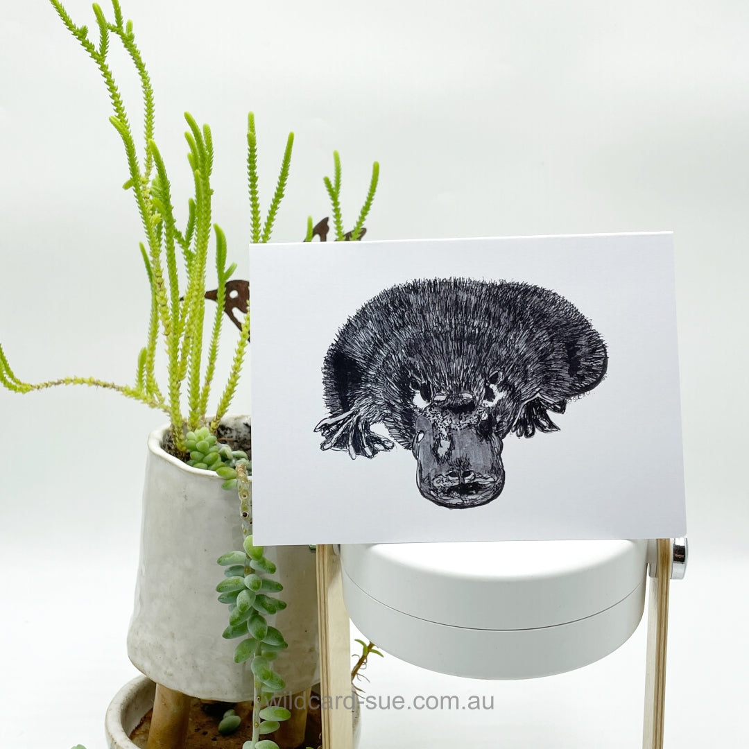Platypus card - Puddles the Platypus – Wildcard-Sue
