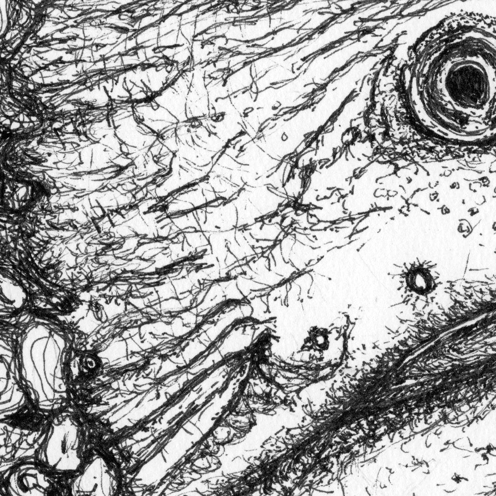 Moray Eel - Fozzie the Moray Eel – Wildcard-Sue